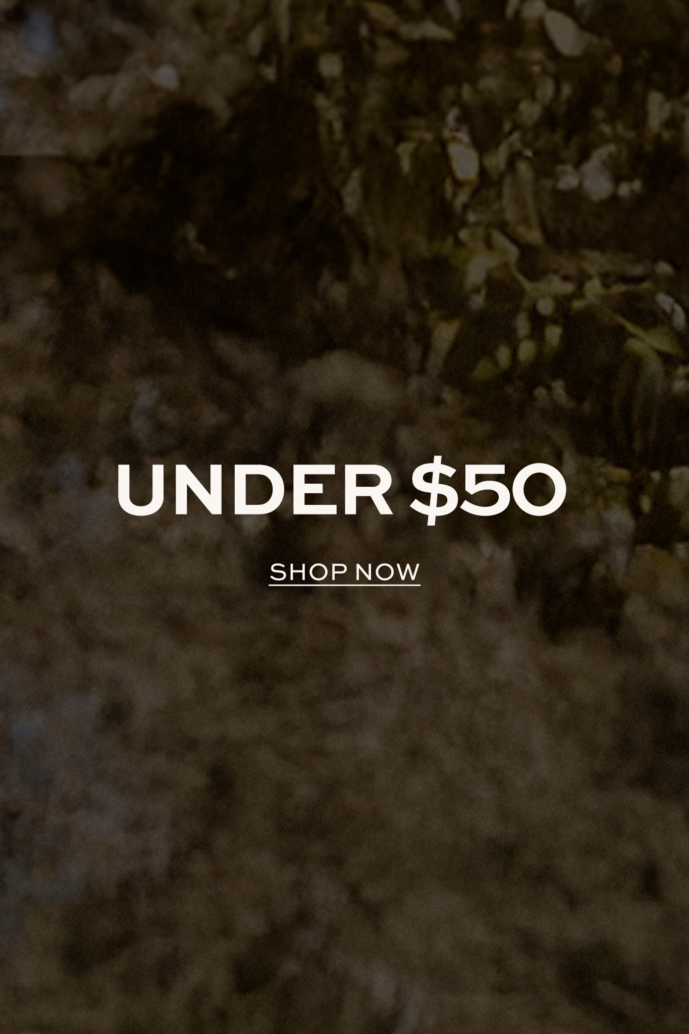 Shop Under $50 Budget-Friendly Dresses Online | Selfie Leslie