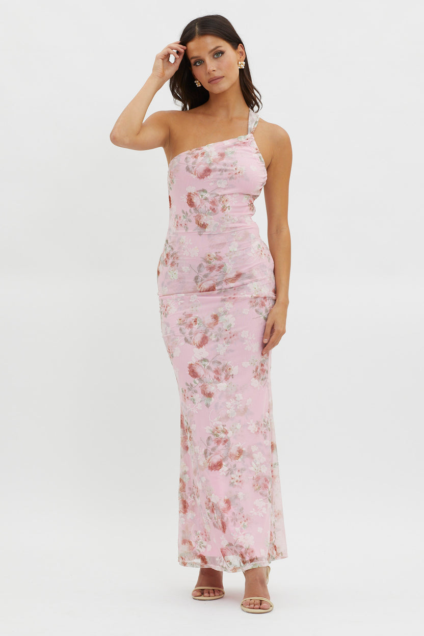 Tatum One-Shoulder Mesh Maxi Dress Pink | Selfie Leslie