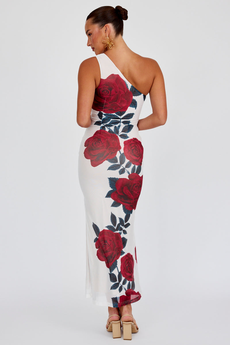 Shop the Desiree One Shoulder Mesh Maxi Dress Rose